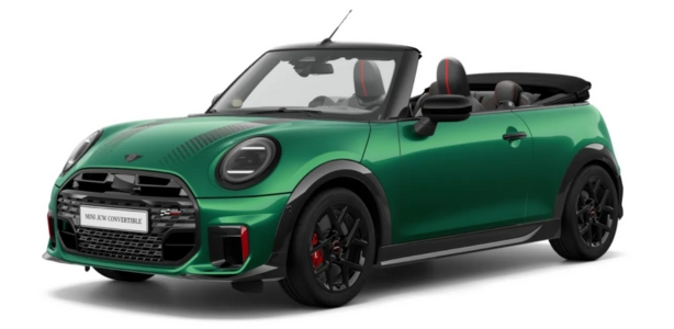 Mini Cabrio Grün